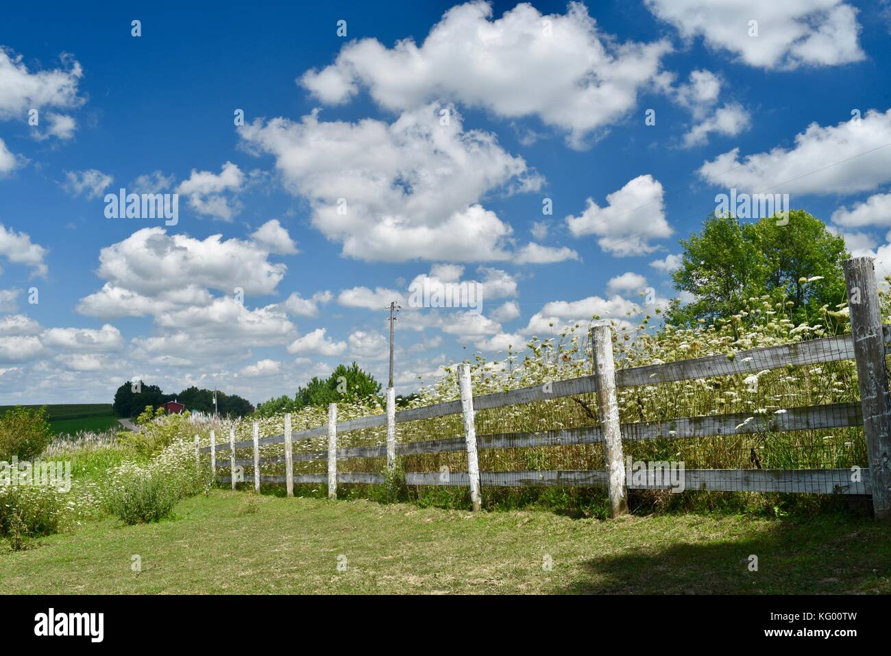 Wildflowers by wood fence hi-res stock photography and images - Alamy