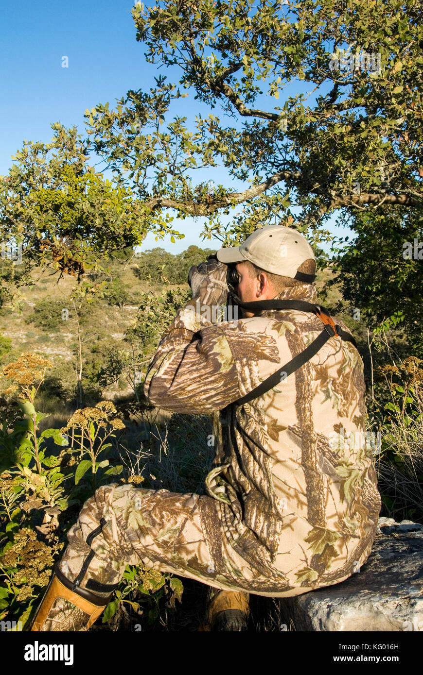 A LONE HUNTER LOOKS FOR WHITETAIL DEER IN THE TEXAS HILL COUNTRY Stock ...