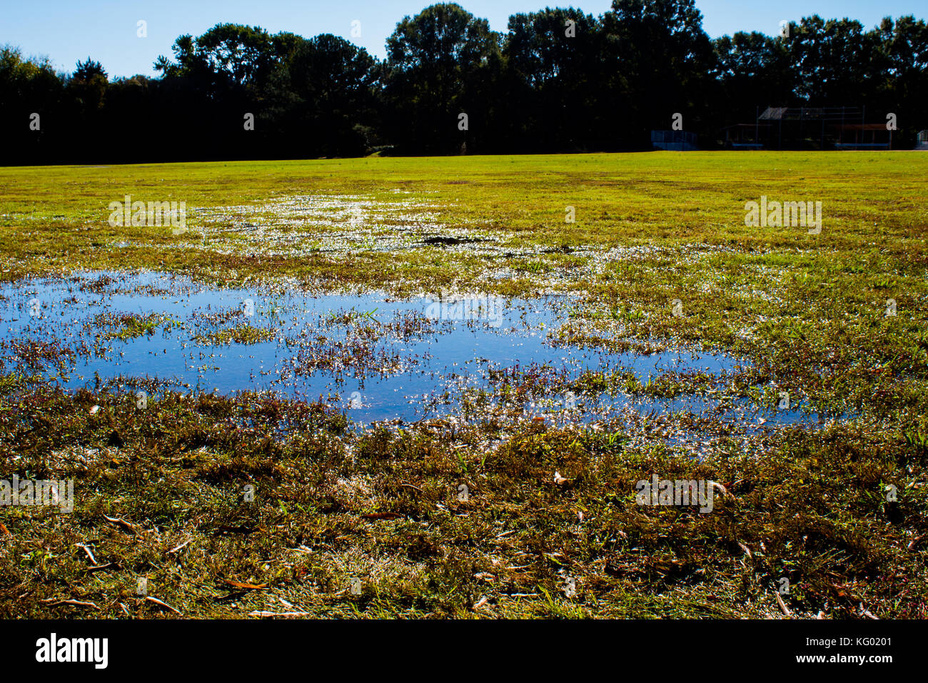 Small puddle in the middle of the field Stock Photo - Alamy