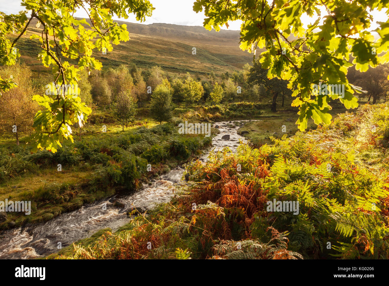 Stream gushing through hill in the british countryside near Greater ...