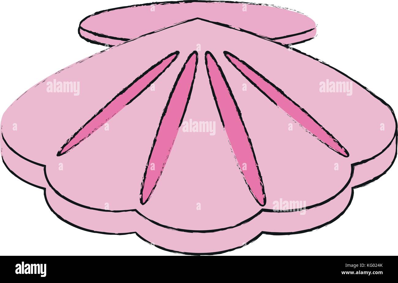 Shell nature sea Stock Vector Image & Art - Alamy