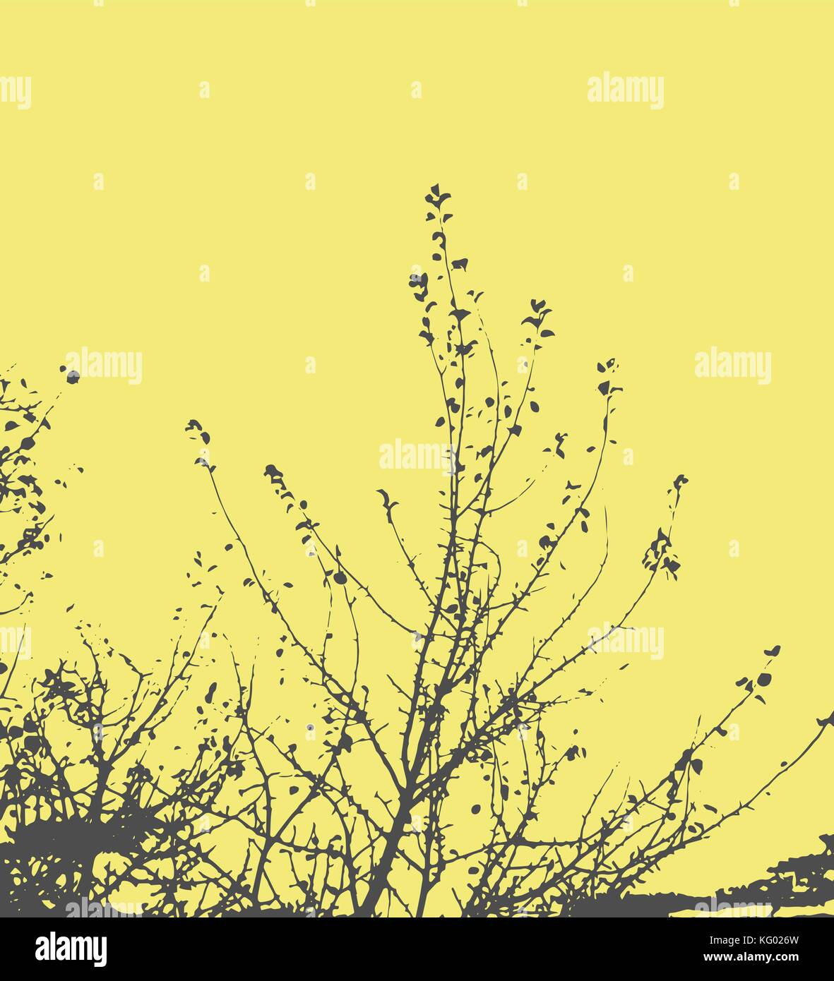 Silhouettes of Trees on subtle background. Tree Pattern. Vector ...