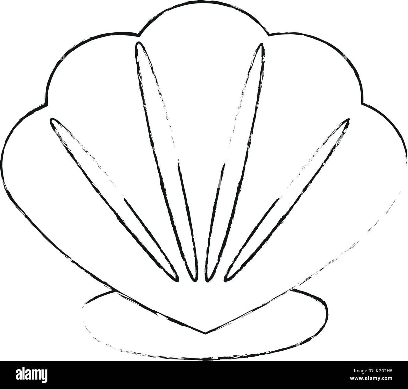 Shell nature sea Stock Vector Image & Art - Alamy