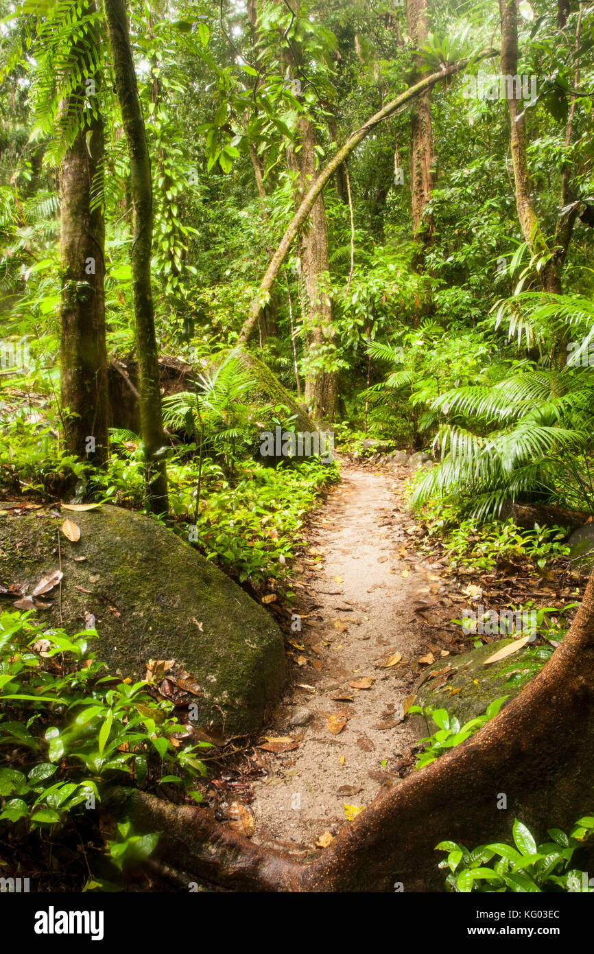 Arid open woodland hi-res stock photography and images - Alamy