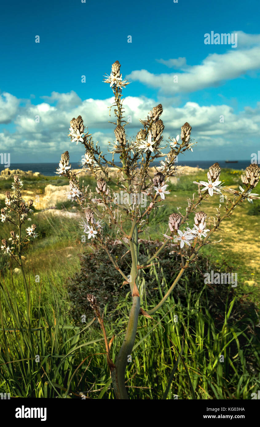 Today are striking hi-res stock photography and images - Alamy