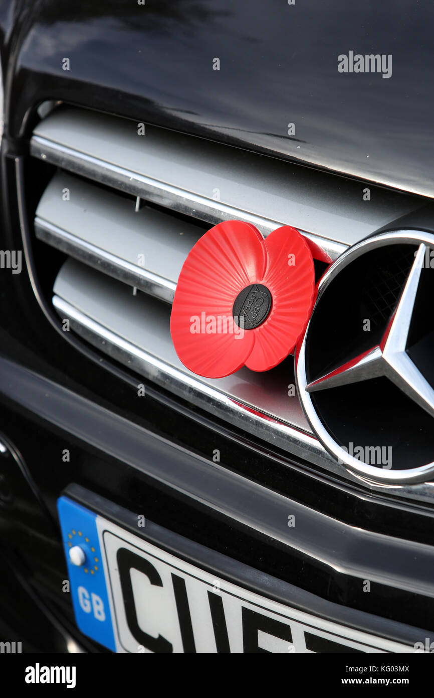 Poppies pictured for Remembrance Sunday in Bognor Regis, West Sussex ...