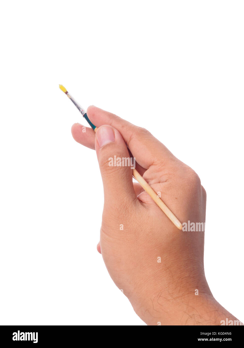 male hand holding paintbrush isolated on white background Stock Photo ...