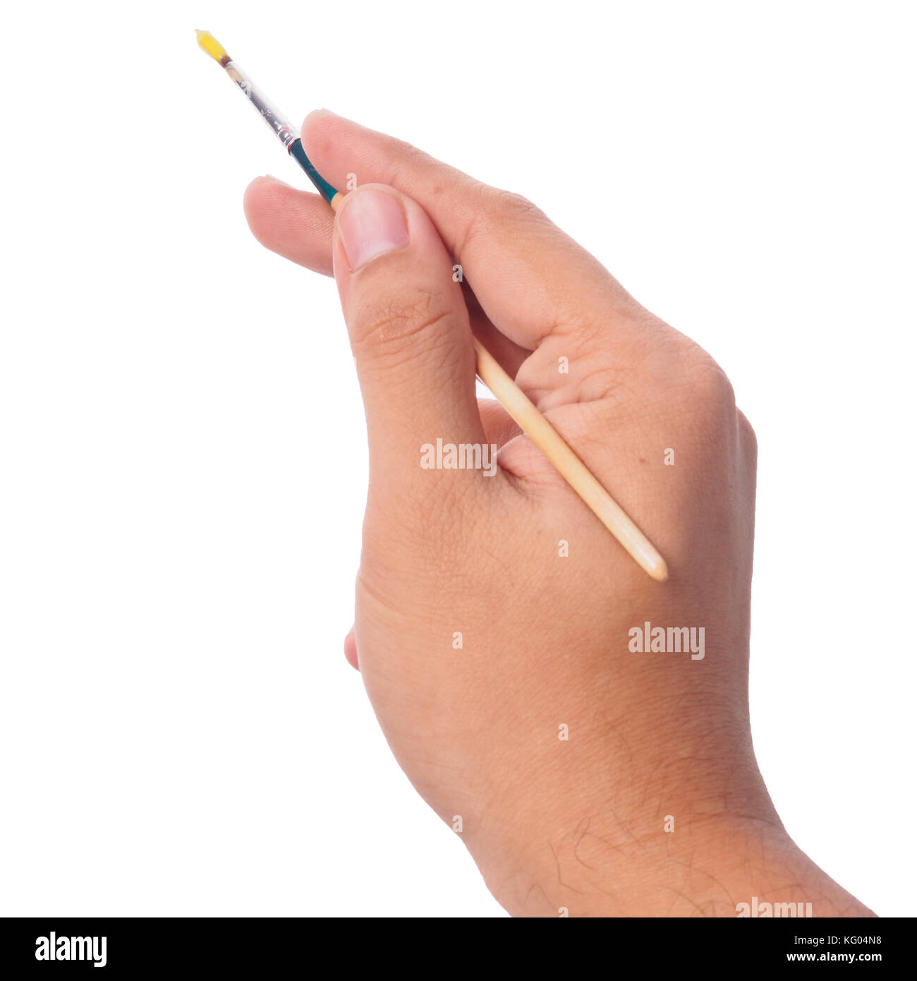 male hand holding paintbrush isolated on white background Stock Photo ...