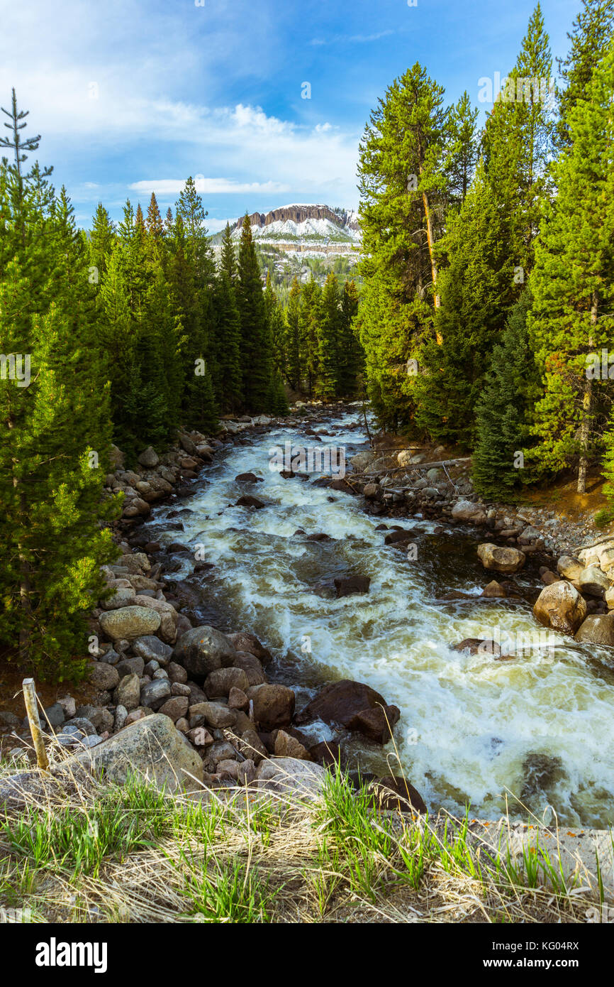flowing forest river with mountainous backdrop Stock Photo - Alamy