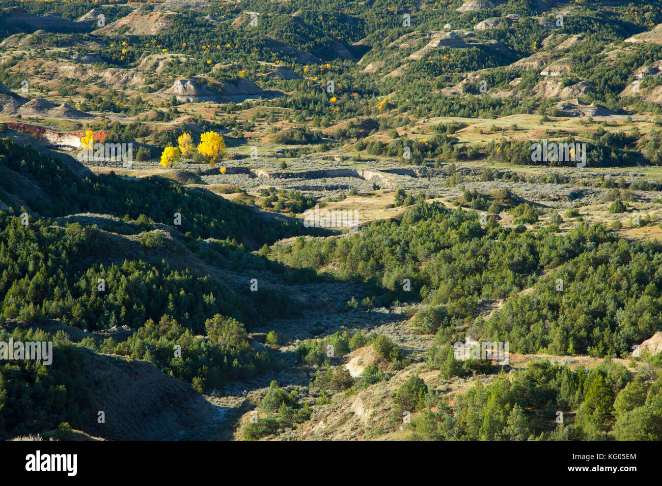 View from Buck Hill, Theodore Roosevelt National Park-South Unit, North ...