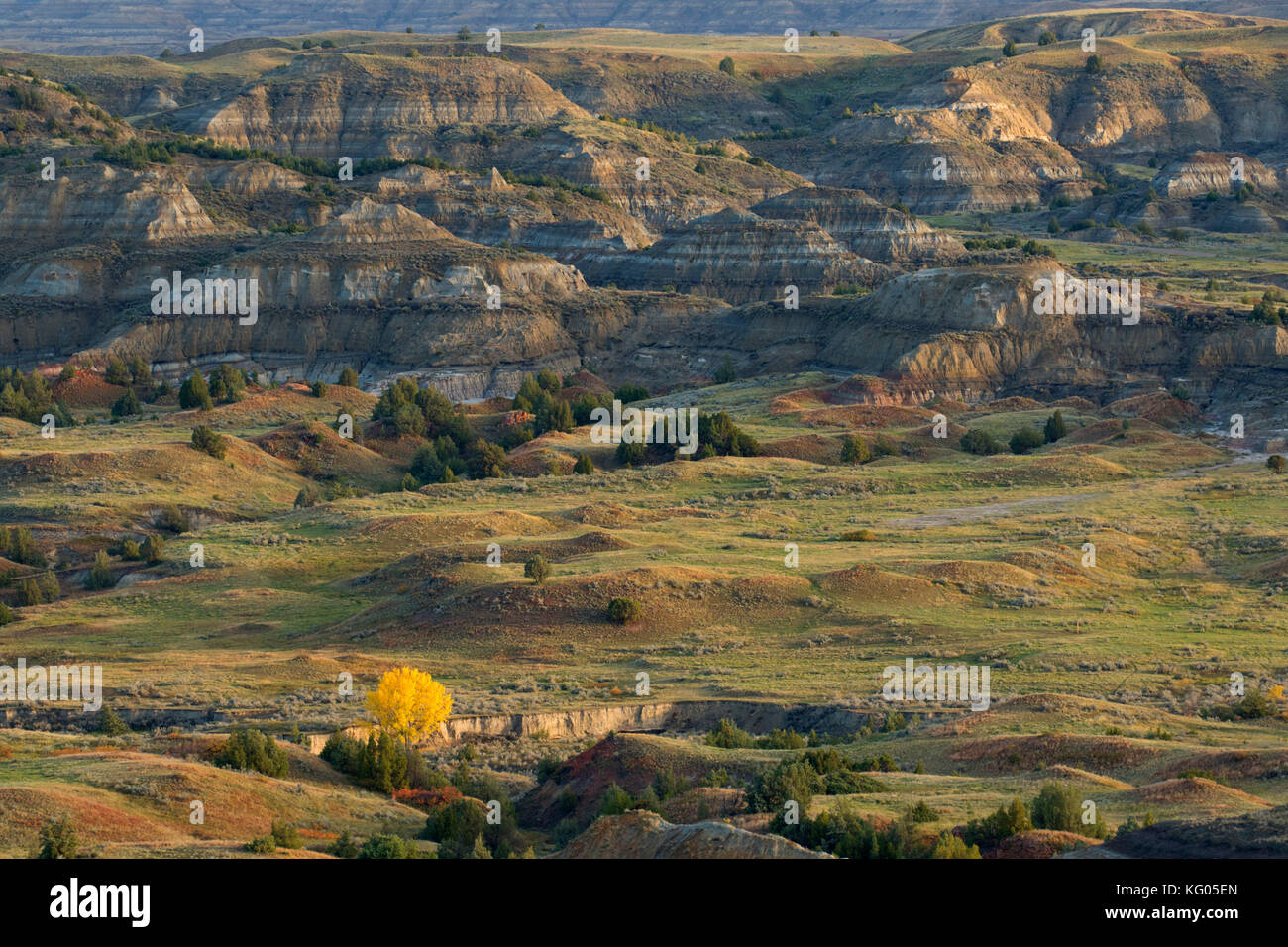 Badlands from Buck Hill, Theodore Roosevelt National Park-South Unit ...