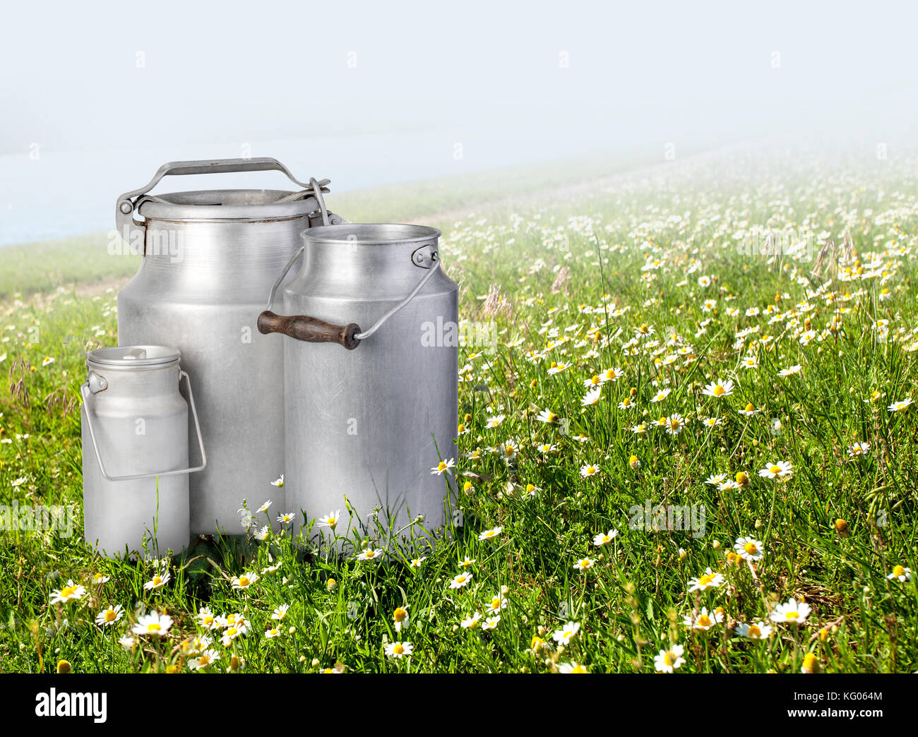 Flowering fields hi-res stock photography and images - Alamy