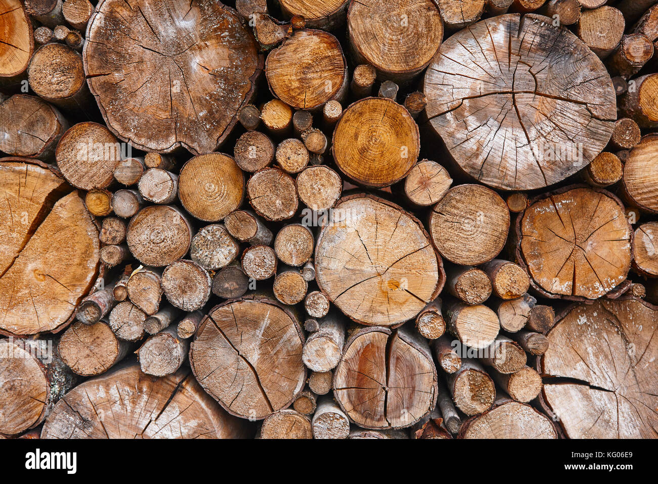 Stacked tree trunks detail. Finland lumber industry. Nature background ...