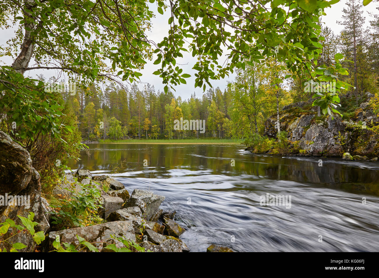 Finland forest landscape at Pieni Karhunkierros trail. Autumn season ...