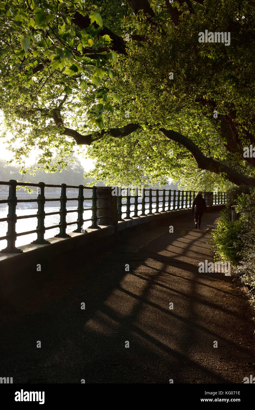 Late Spring evening on the Thames Path in Bishops Park, Fulham, London ...