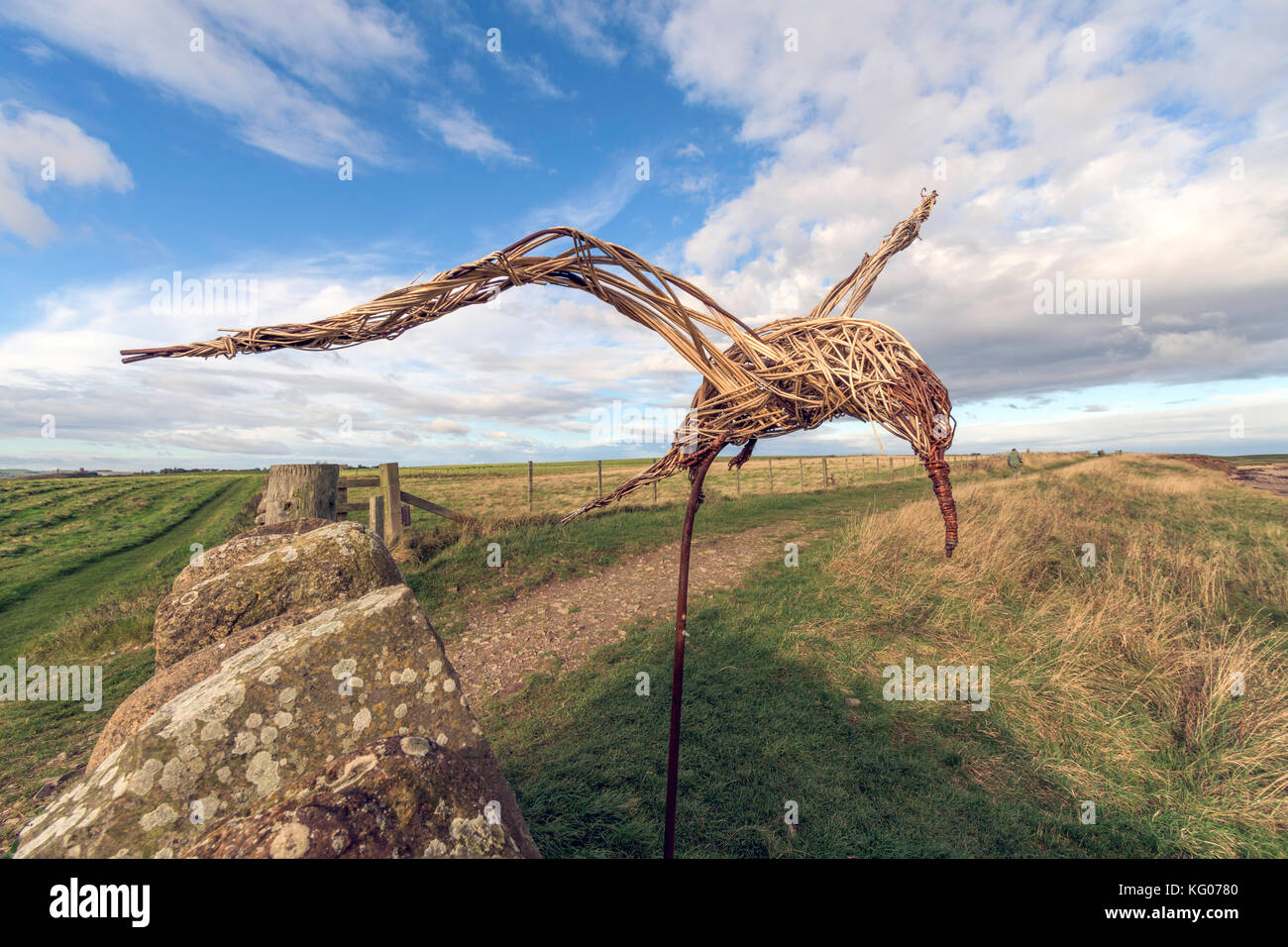 Tern sculpture hi-res stock photography and images - Alamy