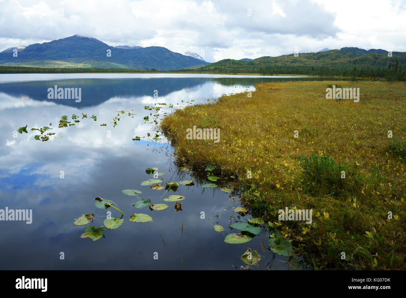 Kenai national wildlife refuge hi-res stock photography and images - Alamy