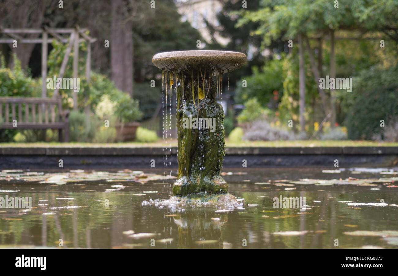 Garden water feature algae hi-res stock photography and images - Alamy