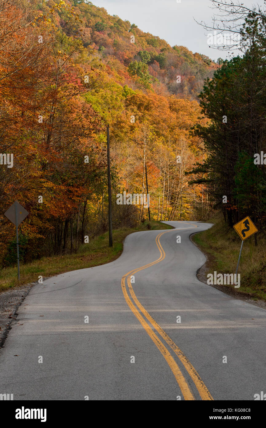 Stand out colors hi-res stock photography and images - Alamy