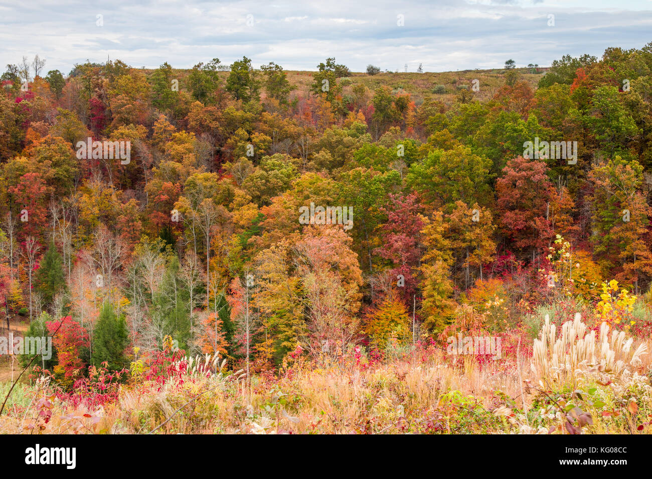 Stand out colors hi-res stock photography and images - Alamy