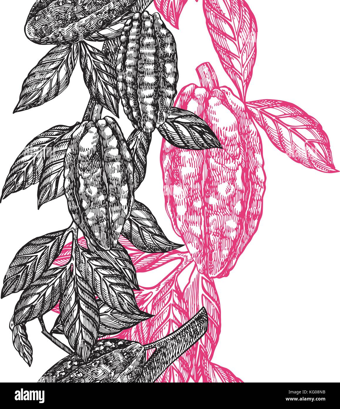 Cocoa branch seamless pattern. Isolated hand drawn illustration on ...