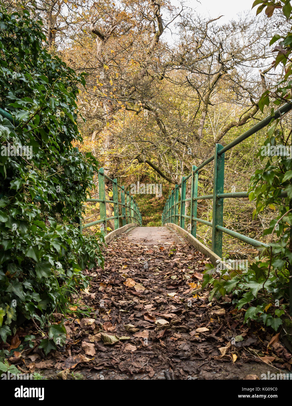 Footbridge over the river Balder on the Teesdale Way long distance ...