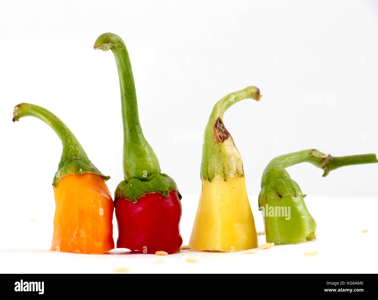 image of a colorful chili pepper on white background Stock Photo - Alamy