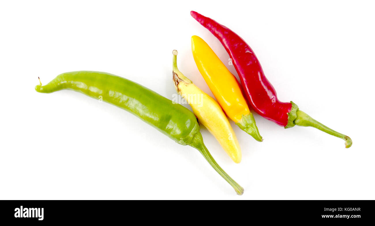 image of a colorful chili pepper on white background Stock Photo - Alamy