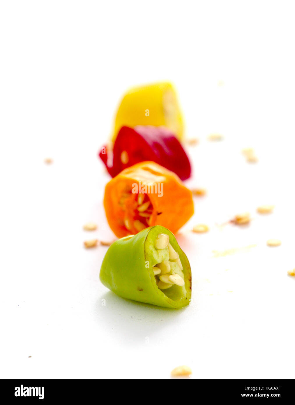 image of a colorful chili pepper on white background Stock Photo - Alamy