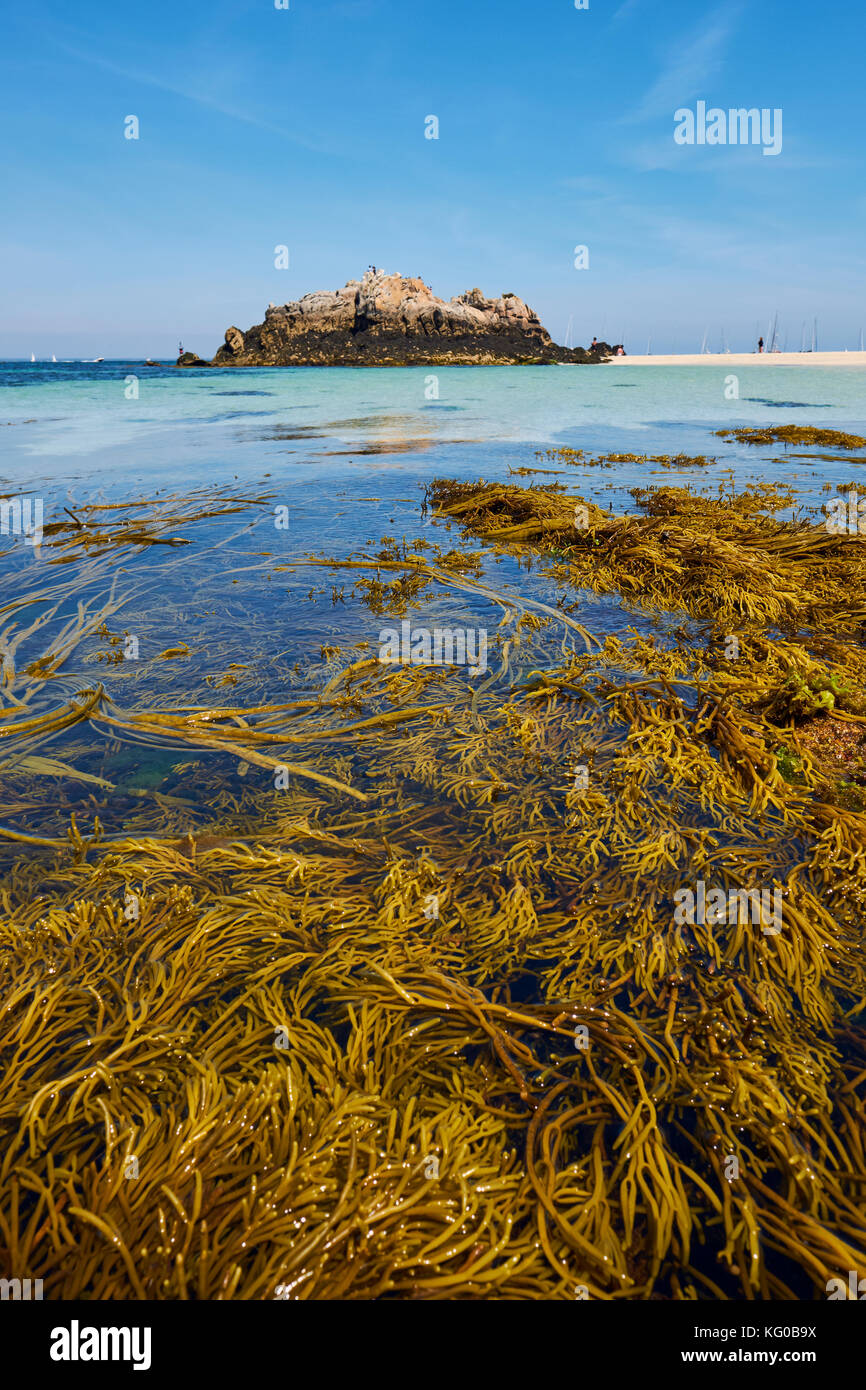The beautiful Glenan Islands located off the west Finistere coast near ...