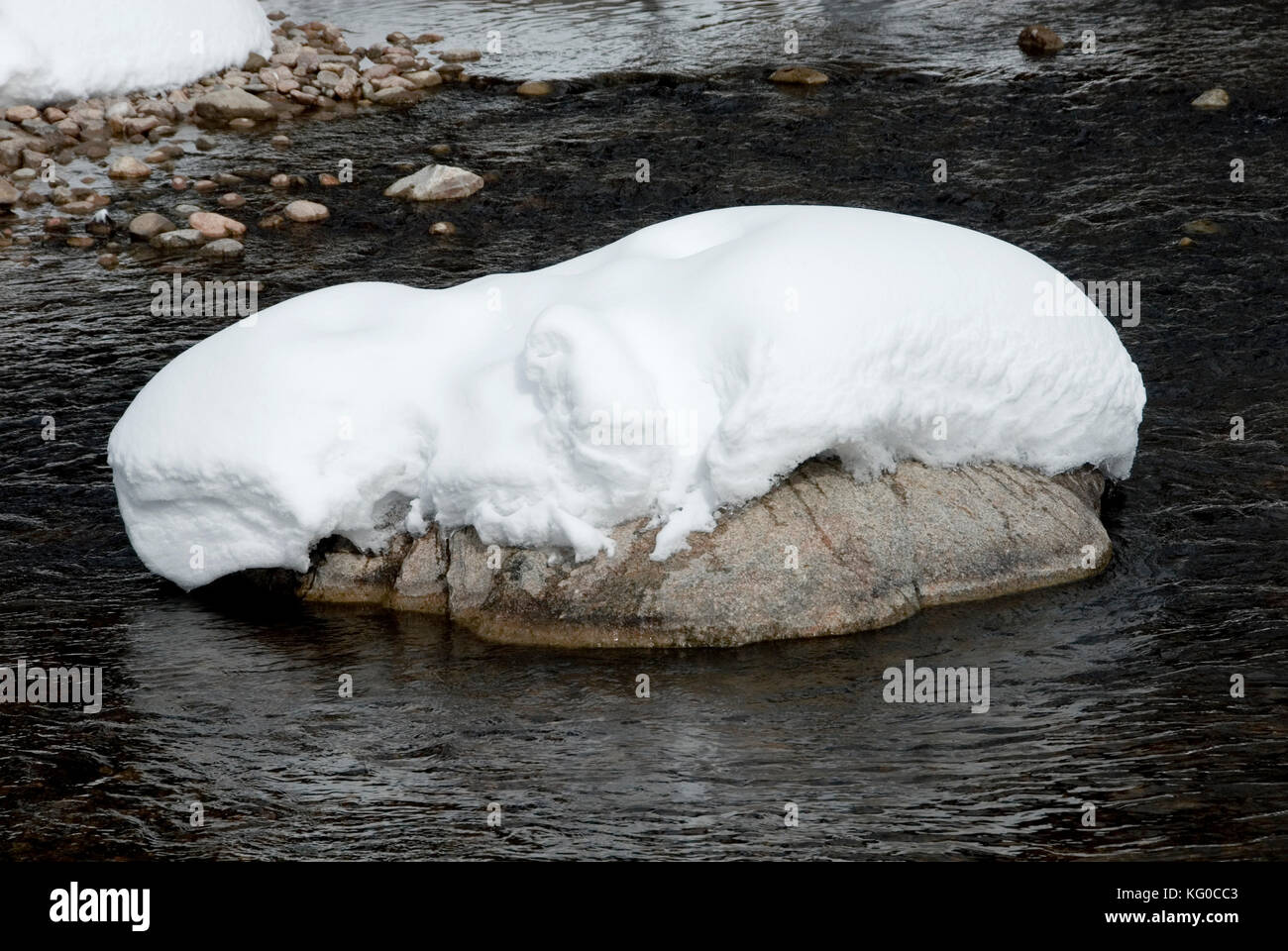 SNOW COVERED ROCK IN A CREEK, COLORADO Stock Photo - Alamy