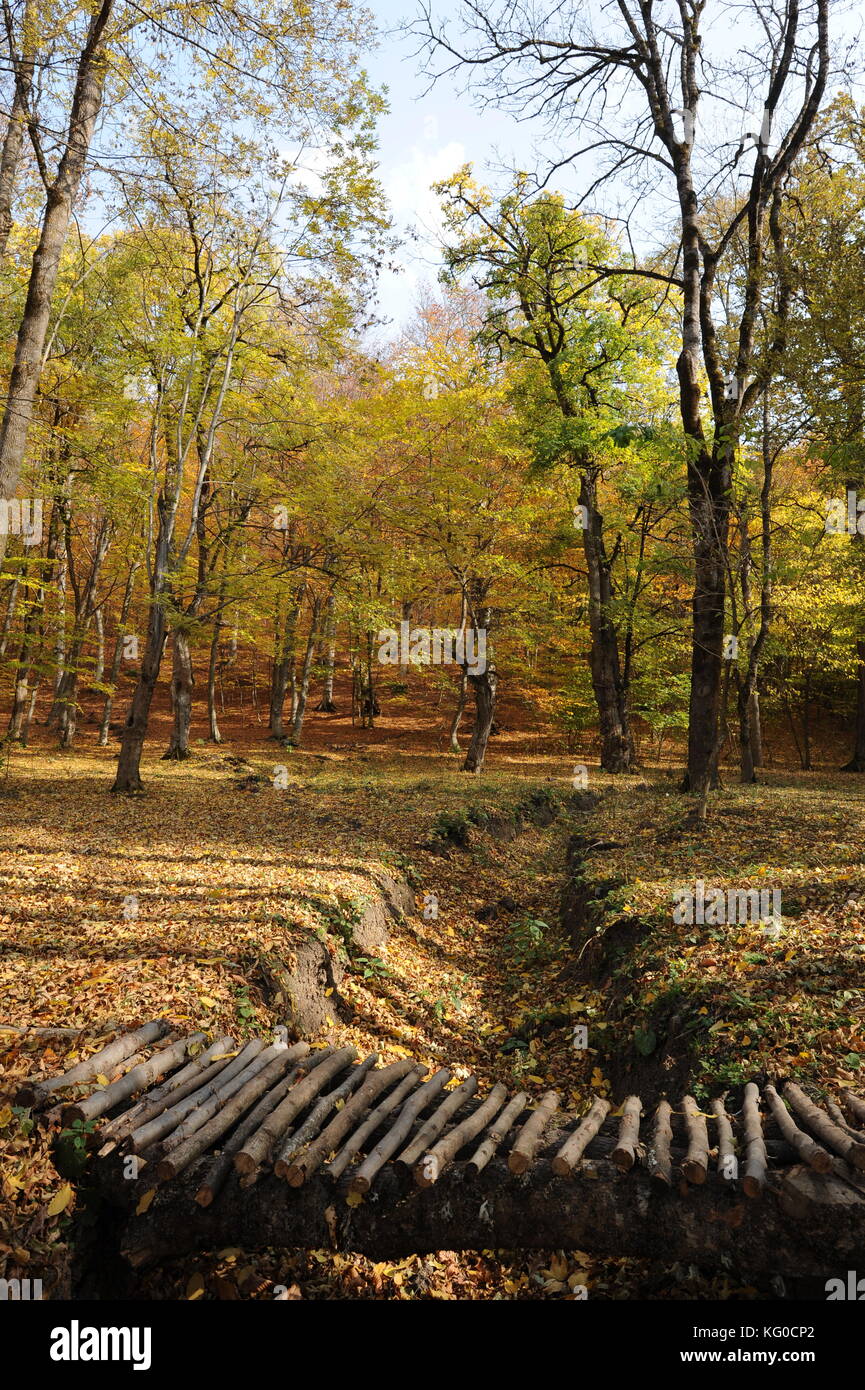 Lake gosh hi-res stock photography and images - Alamy