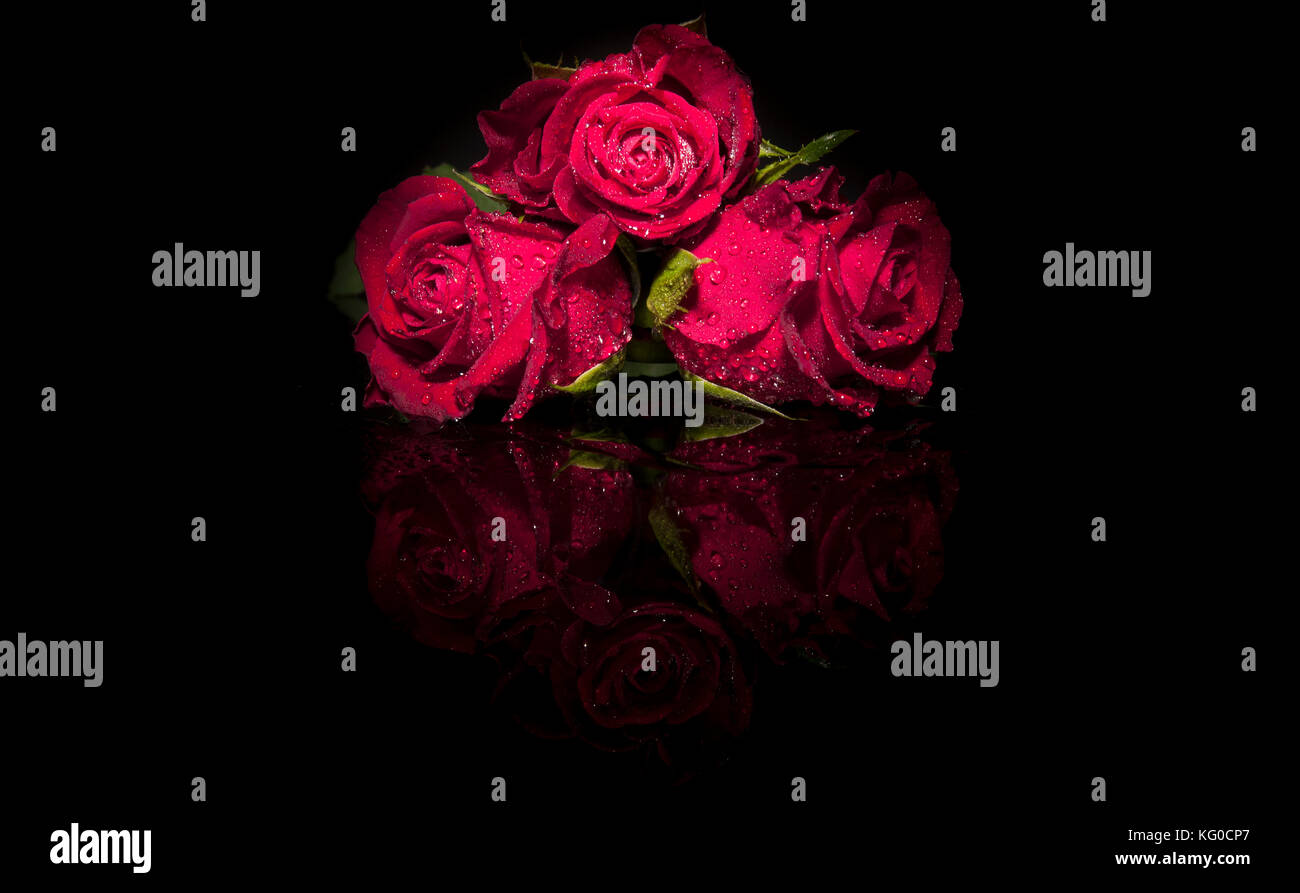 Reflection of roses hi-res stock photography and images - Alamy