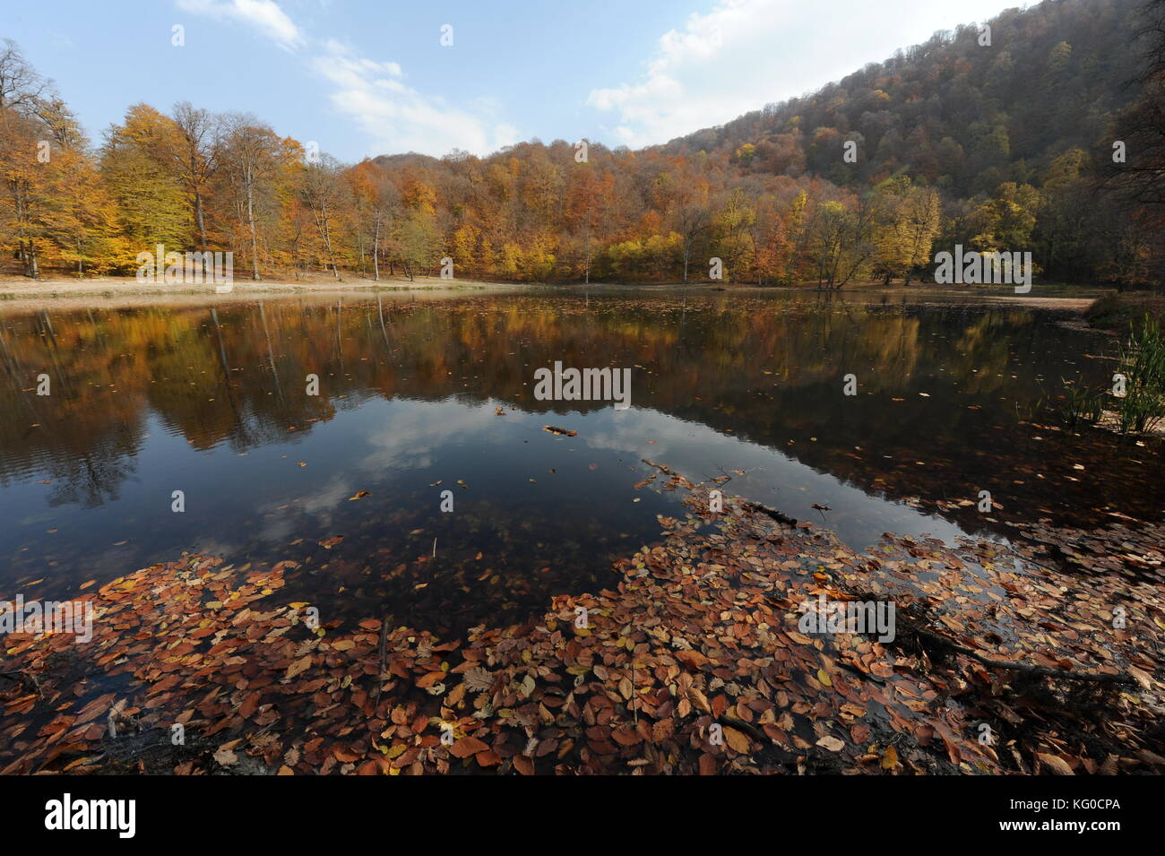 Gosh hi-res stock photography and images - Alamy