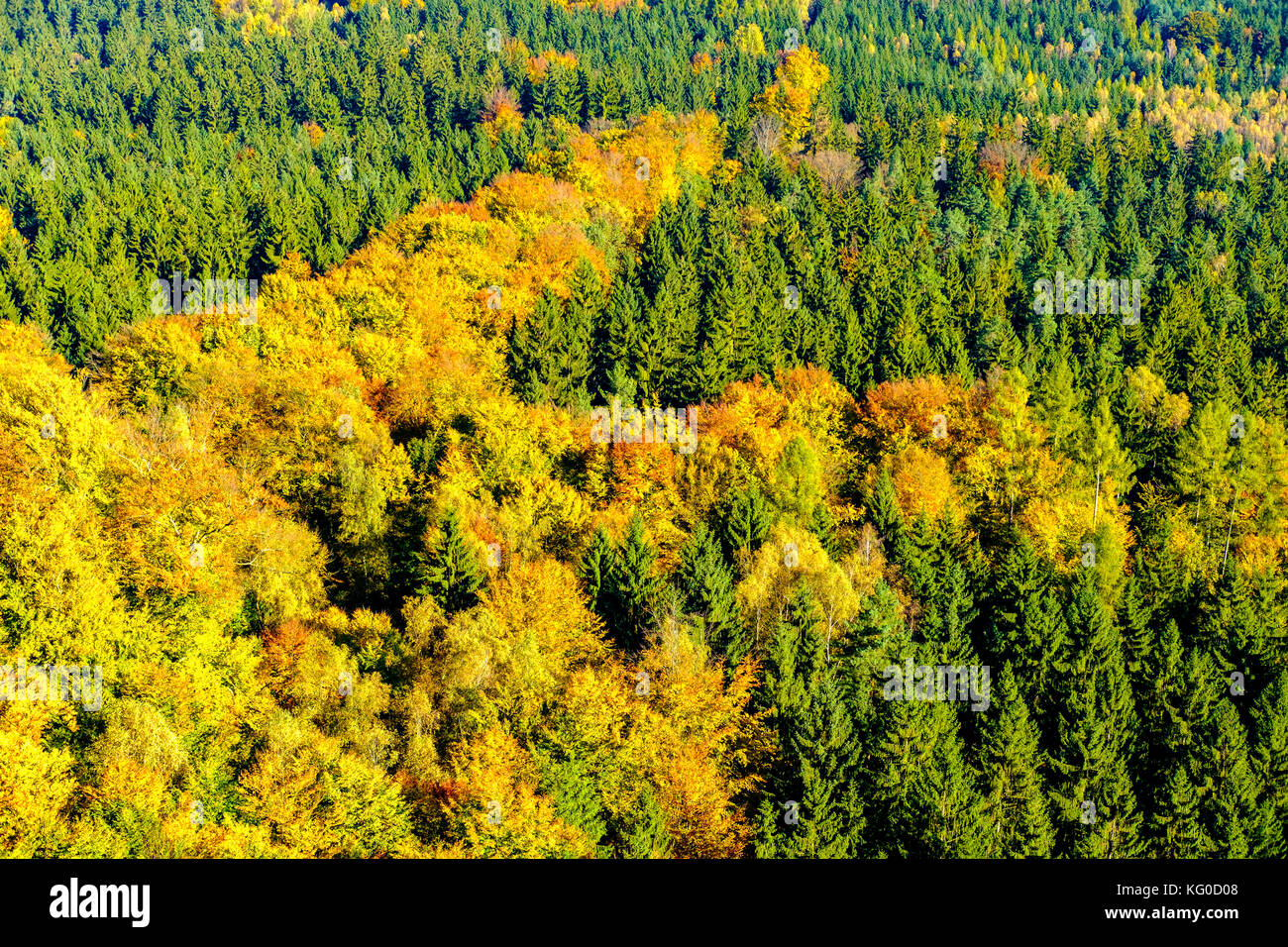 Autumn leaves stone rock trees hi-res stock photography and images - Alamy