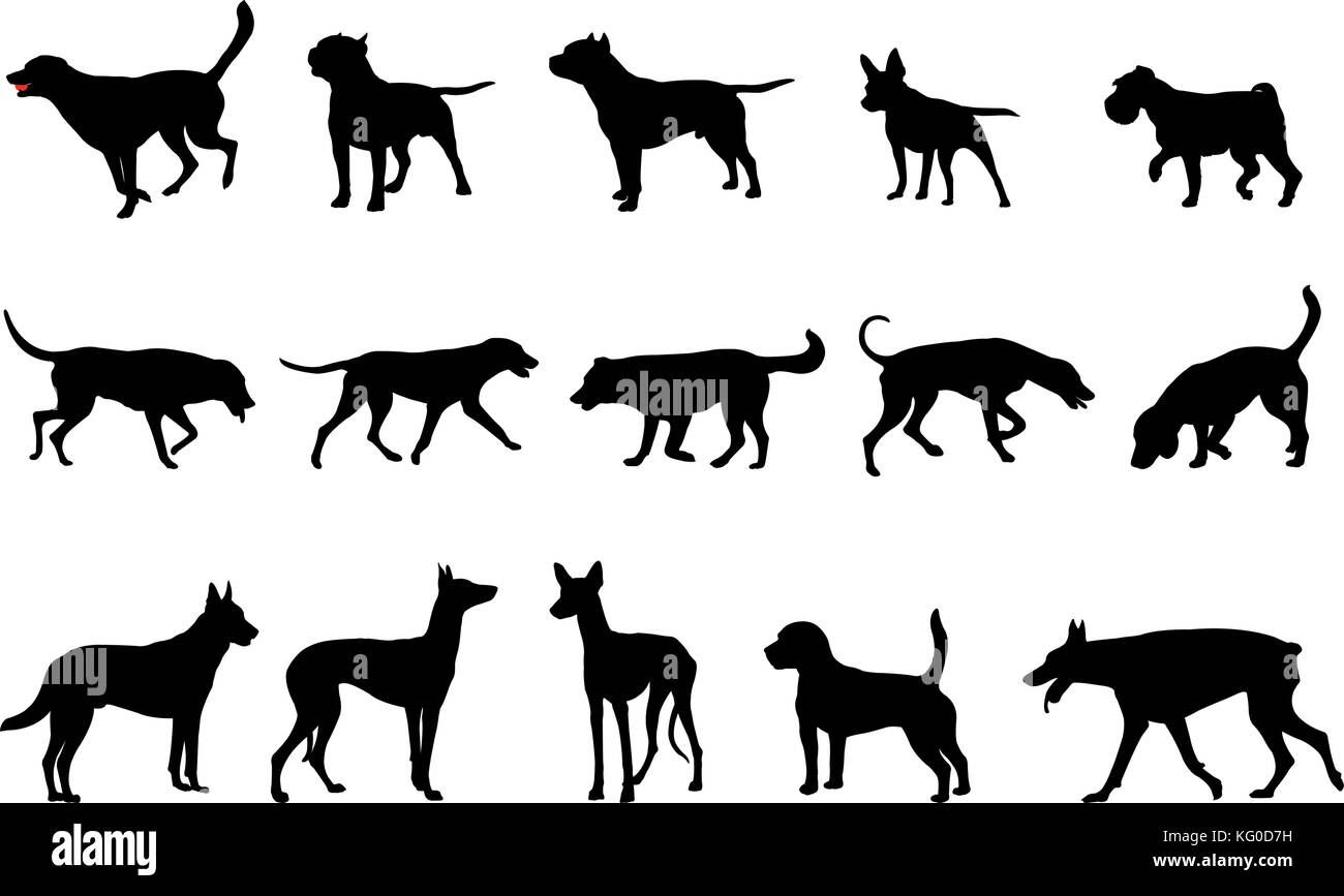 Collection dog breeds illustration Stock Vector Images - Alamy