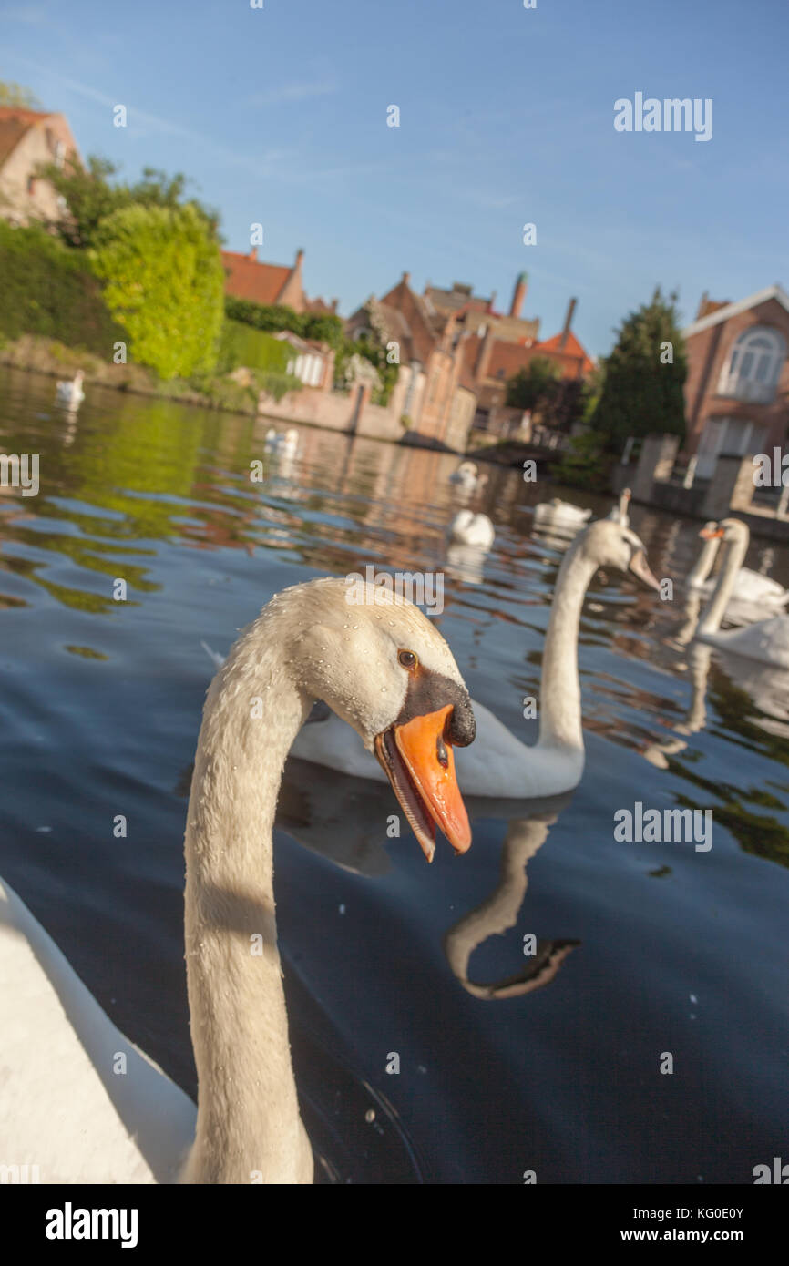 Reportages hi-res stock photography and images - Alamy