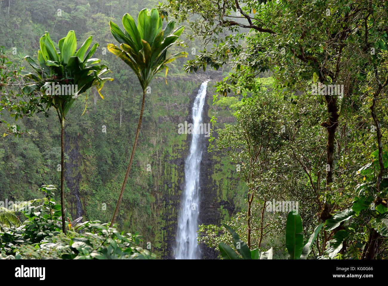 Ahalanui park hawaii hi-res stock photography and images - Alamy
