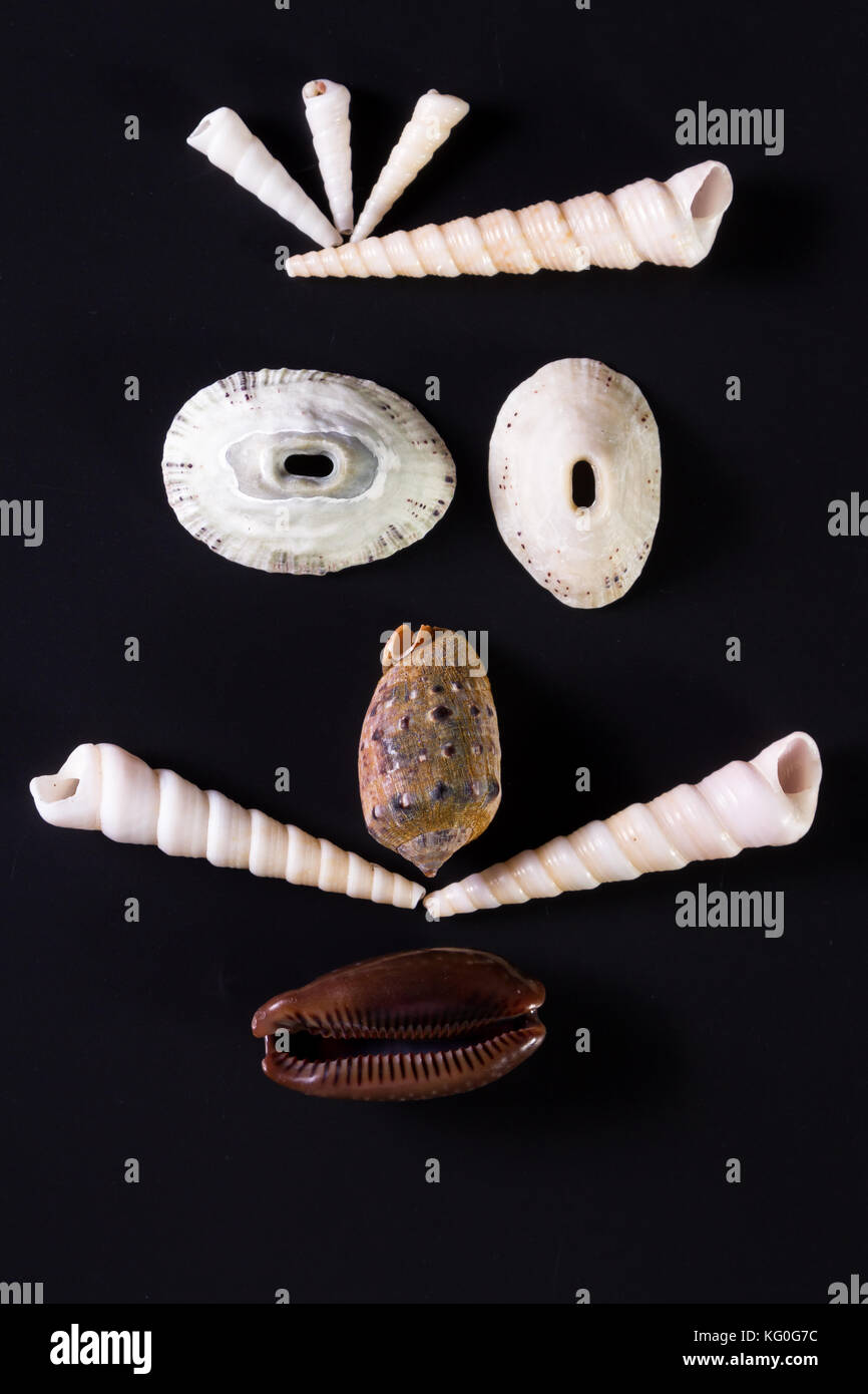 sea shells arranged so that they create a face emanating emotion Stock ...