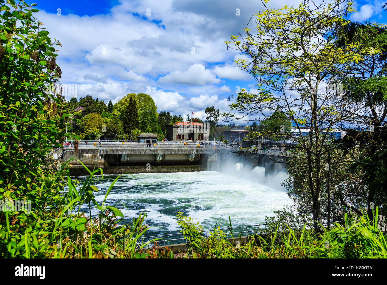 Fish Ladder and Ballard Locks Through Trees Stock Photo - Alamy