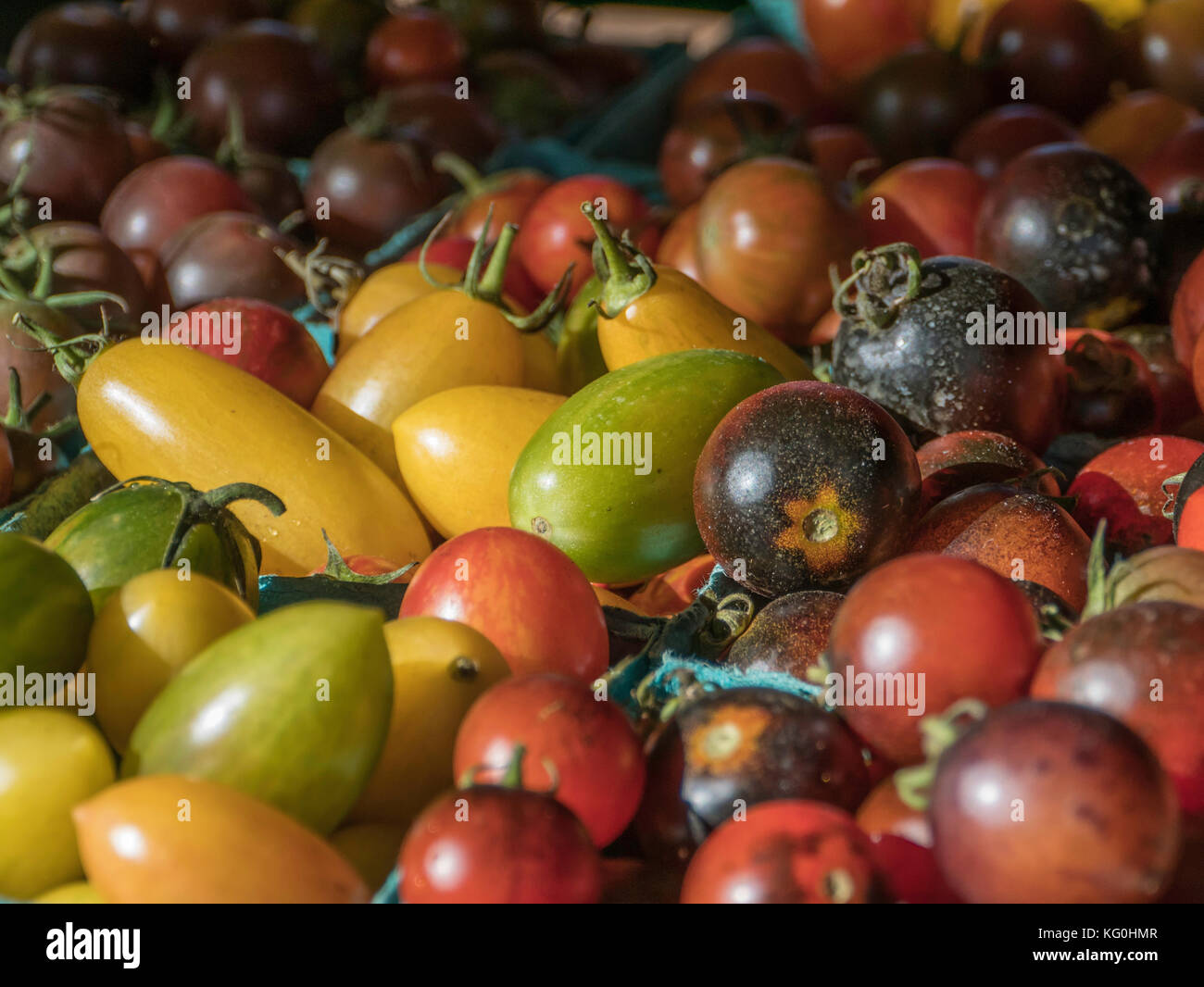 Heirloom cherry tomatoes at the market Stock Photo - Alamy