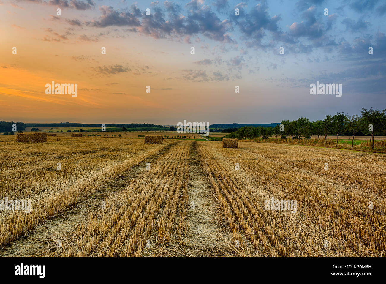 Sonnenaufgang getreidefeld hi-res stock photography and images - Alamy