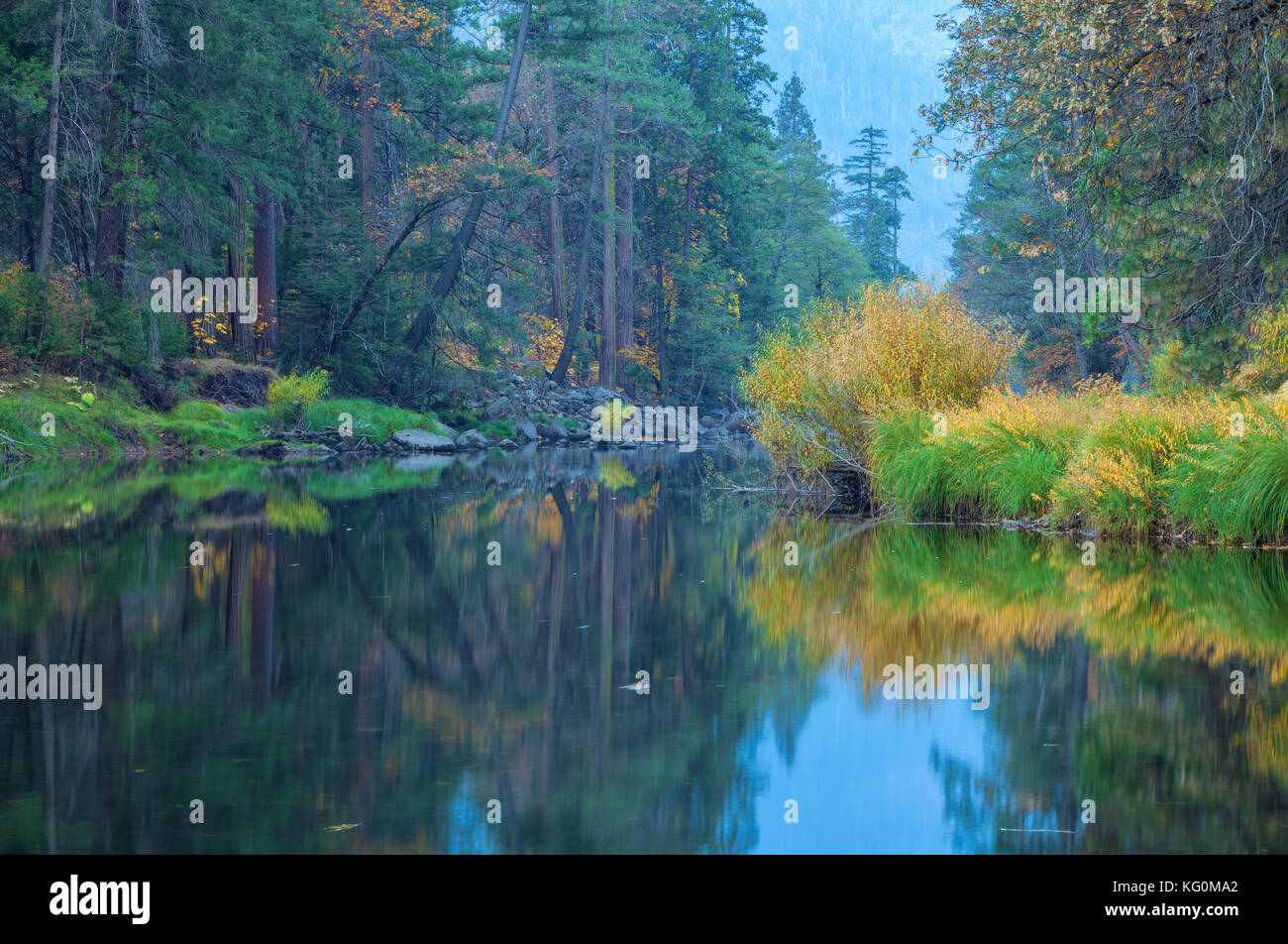 Merced River and the fall vegetation around the river bank, Yosemite ...