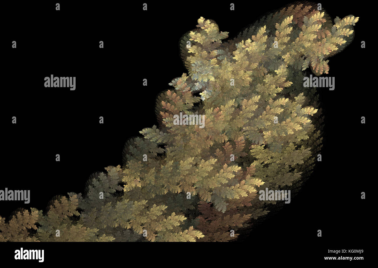 Fractal geometry in nature hi-res stock photography and images - Alamy