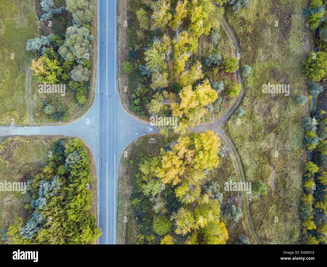 Forest and field with a trail aerial photography Stock Photo - Alamy