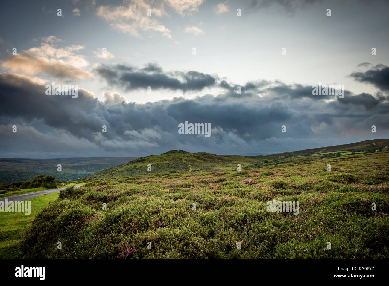 Devon national park hi-res stock photography and images - Alamy