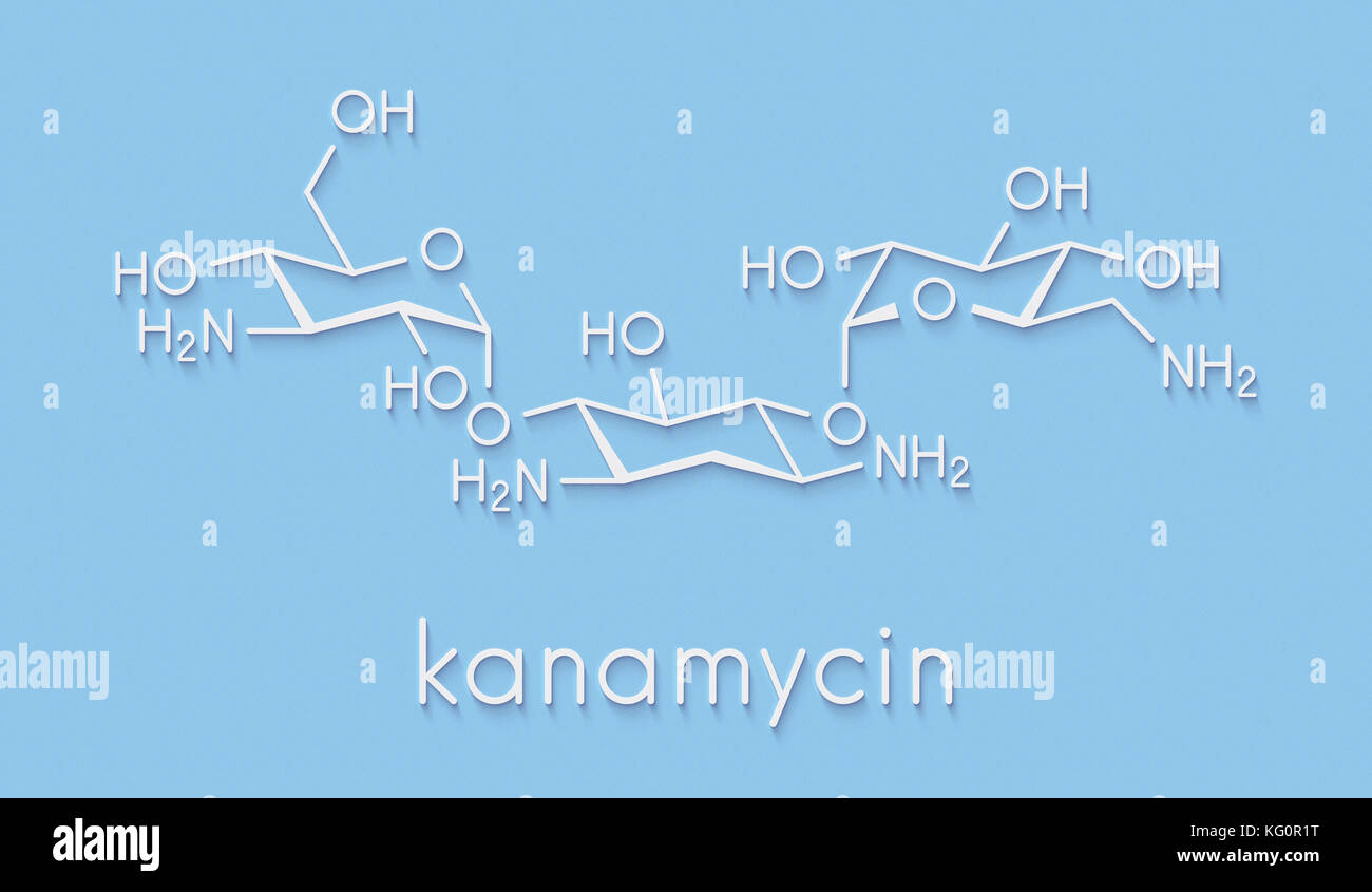 Kanamycin antibiotic drug molecule (aminoglycoside). Skeletal formula ...