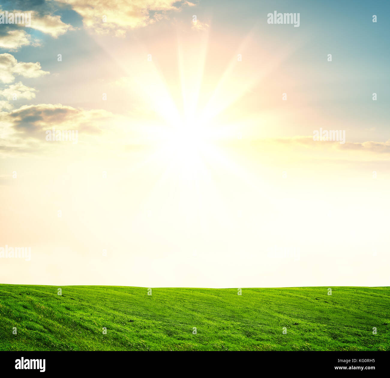 Landscape Of Green Field Stock Photo - Alamy