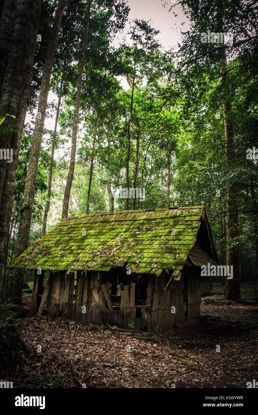 Old wooden cottage in the forest Stock Photo - Alamy