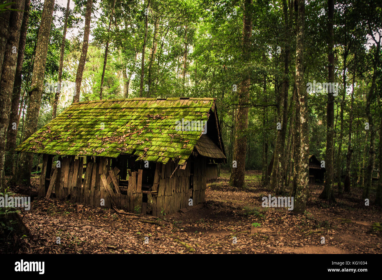 Old wooden cottage in the forest Stock Photo - Alamy